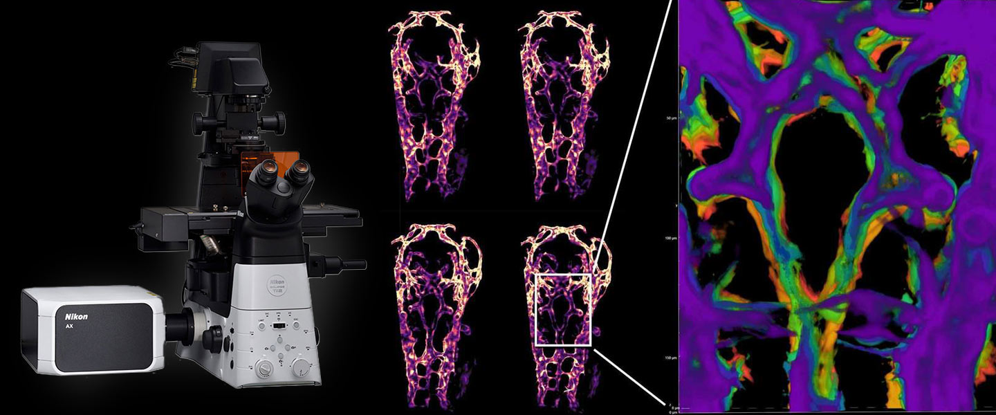 Nikon Center of Excellence inauguration - BergmanLabora